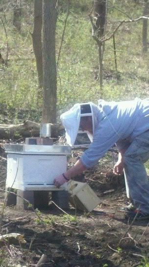 Installed (a few pics) | Beesource Beekeeping Forums
