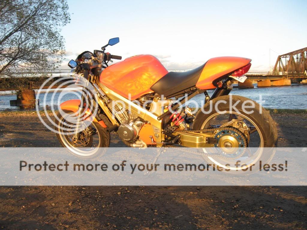 modified nt650 guy new to this forum | Custom Fighters - Custom ...